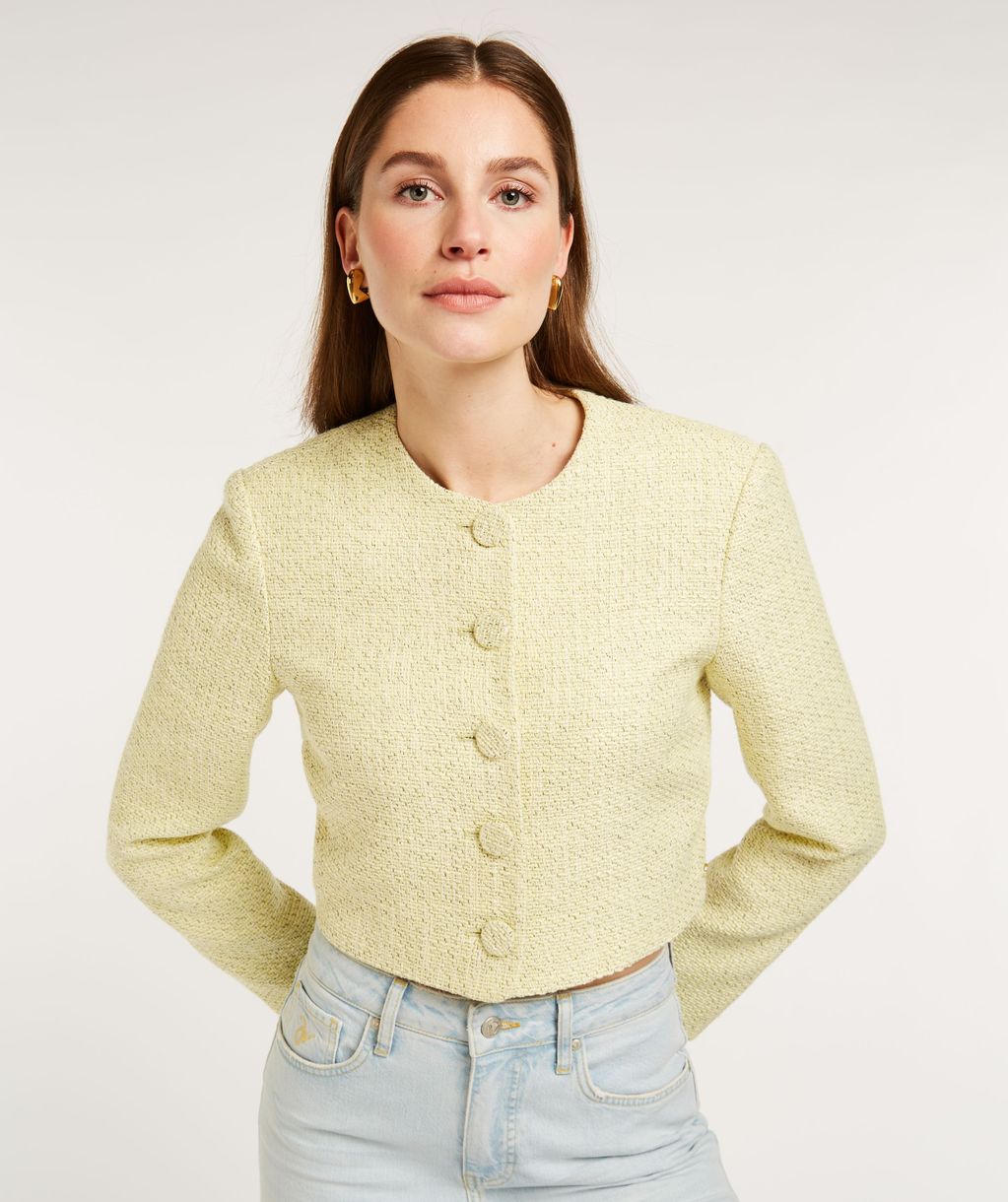 REMI cropped fitted blazer met lurex - Pistachio Gold Glitter | JOSH V ...